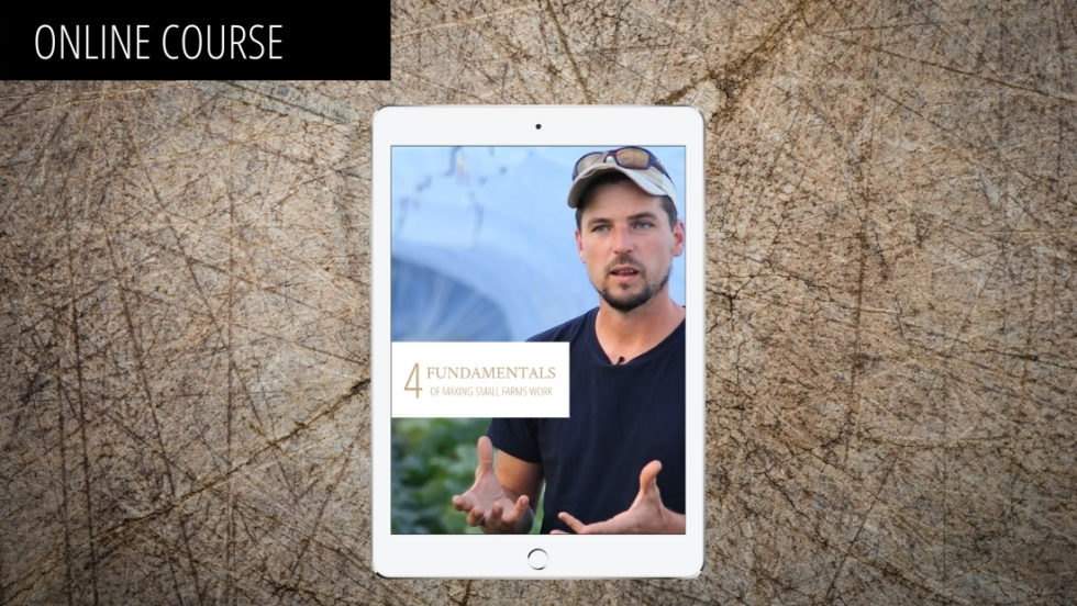 BOOKS & TRAININGS | Richard Perkins