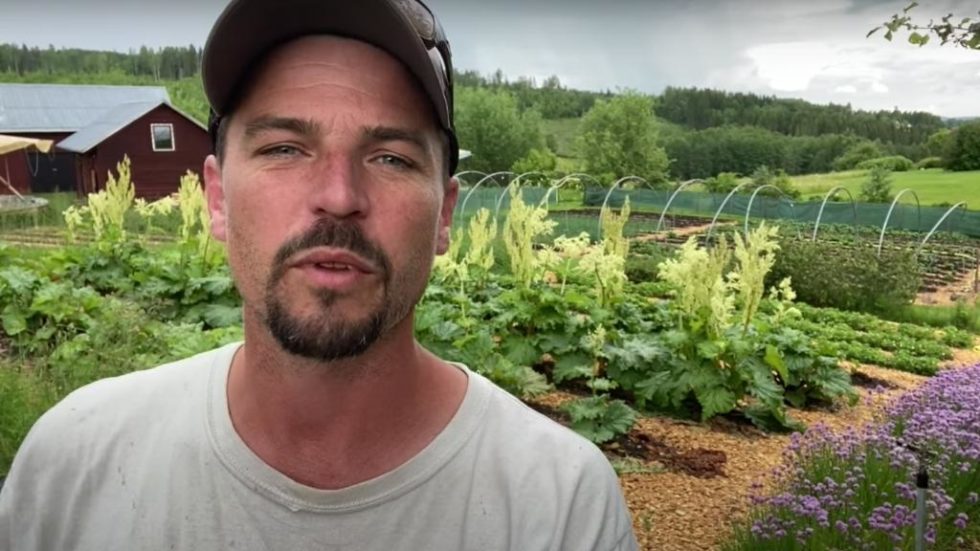 BLOG | Richard Perkins